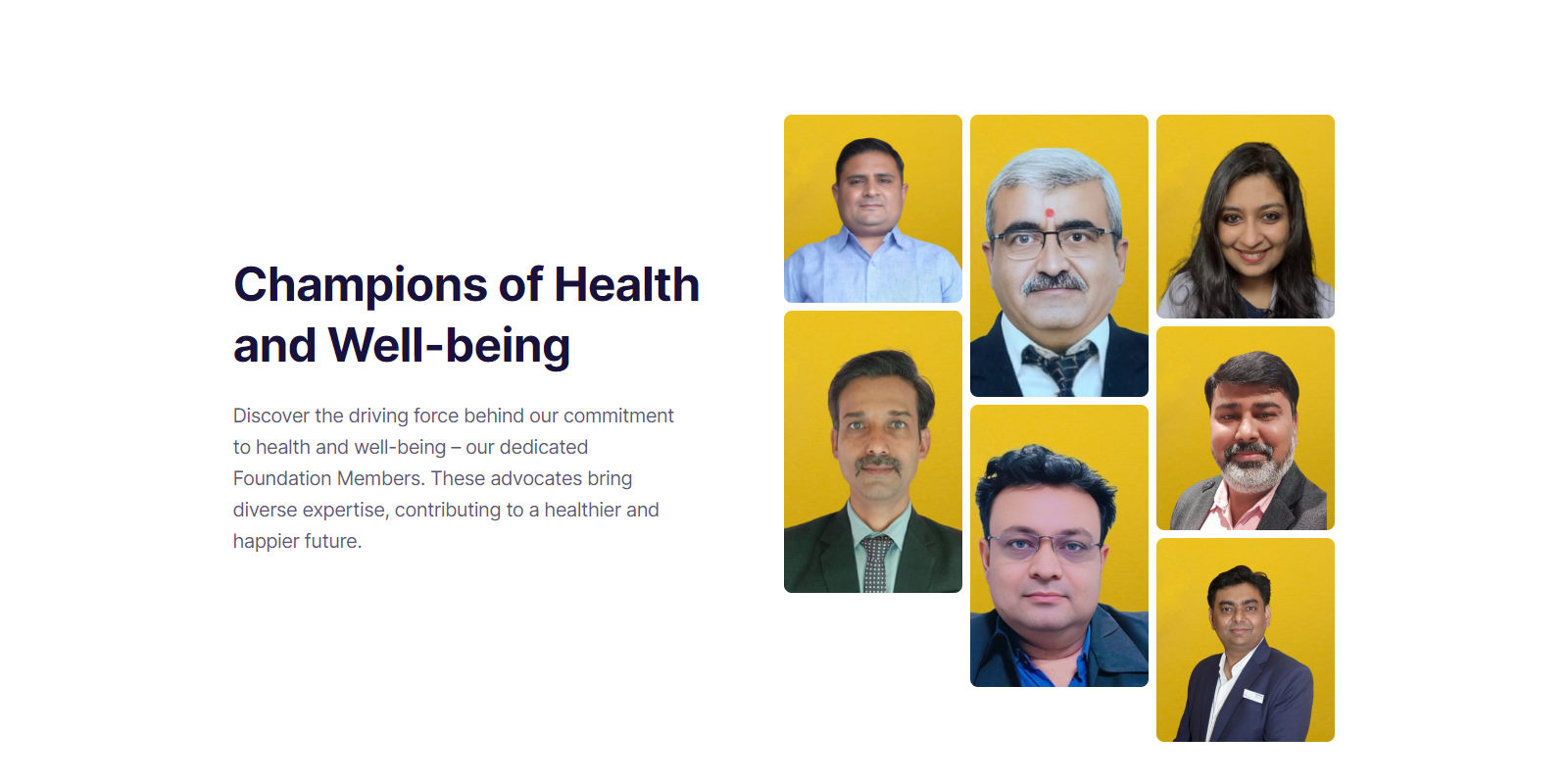 Meet Members - AHMP India Foundation
